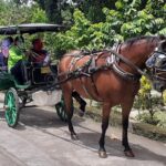 Authentic Andong Tour - The Sum Up: Is This Tour Right for You?