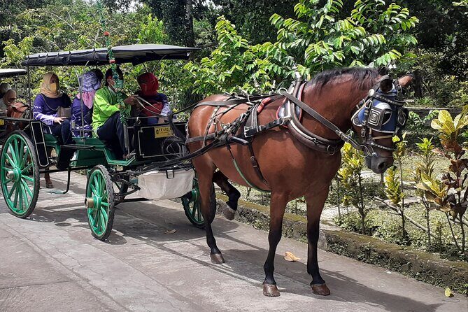 Authentic Andong Tour - The Sum Up: Is This Tour Right for You?