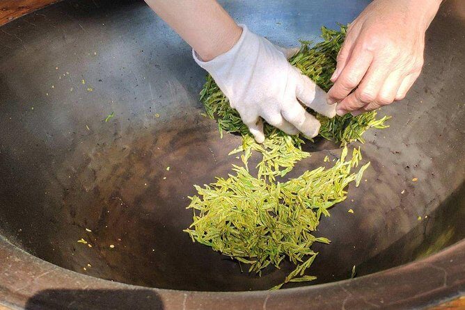 Authentic Hangzhou Longjing Tea Culture Experience Tour - The Practicalities: What to Expect
