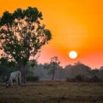 Authentic Siem Reap: Tuk Tuk Countryside and Sunset Tour - Key Points
