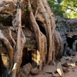 Authentic Vietnam And Cambodia 14-Days - From Hanoi to Siem Reap - The Value of This Tour