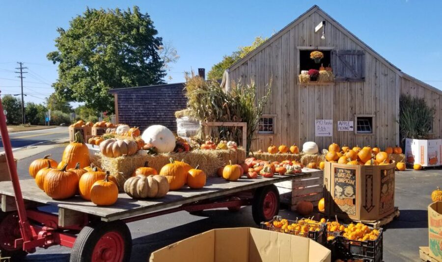 Autumn in New England - The Itinerary in Detail