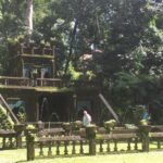 Award winning Paronella Park Day and Night Tour - Analyzing the Value