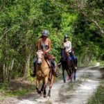 Award-winning Private Classic Horseback Ride - What Do the Reviews Say?
