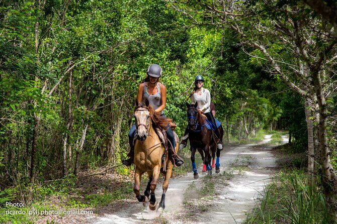 Award-winning Private Classic Horseback Ride - What Do the Reviews Say?