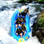 Ayung River Rafting and Ubud Waterfall Tour - The Practicalities: Transportation, Meals, and Accessibility