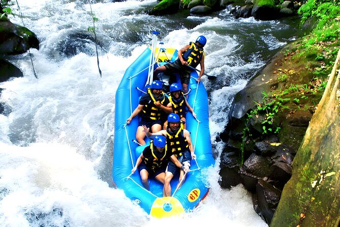 Ayung River Rafting and Ubud Waterfall Tour - The Practicalities: Transportation, Meals, and Accessibility