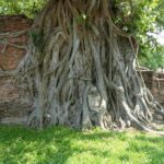 Ayutthaya Famous Temple & Scenic Boat Tour From Train Station - Authentic Experiences and Cultural Highlights