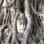 Ayutthaya One Day Tour go by Coach - back by River Cruise - Grand Pearl Cruise - Practical Info and What You Get for Your Money