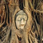 Ayutthaya Tour from Bangkok with Grand Pearl River Cruise - Who Is This Tour Best For?