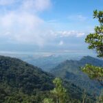Ba Vi National Park Private Tour: Sightseeings & Jungle Hikking - Analyzing the Experience: How It Adds Up