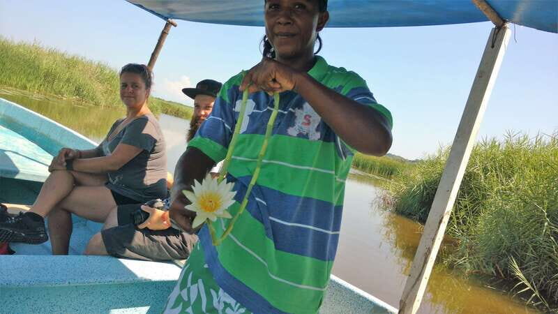 .Baby Turtle Release, Lagoon Boat Ride, and Crocodile Farm - Why This Tour Delivers Value