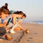 Baby Turtle Release Tour + Pick up + Courtesy in Puerto Escondido! - Who Should Consider This Tour?
