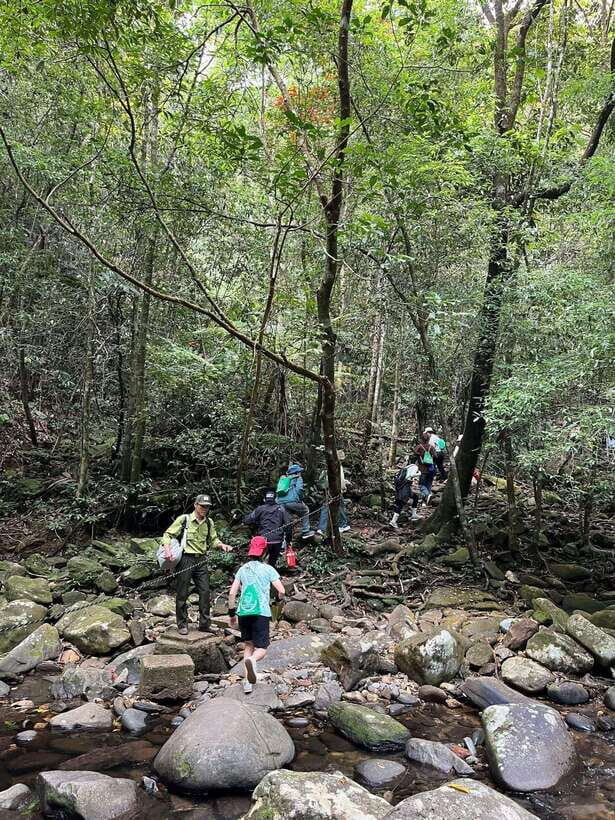 Bach Ma National Park Private Tour With Trekking, Waterfall - Who Will Love This Tour?