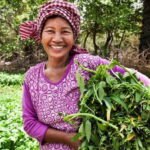 Back to Basics: Village Life Tour from Siem Reap - Itinerary Breakdown: What to Expect