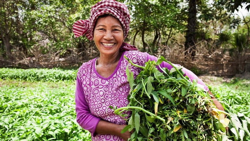 Back to Basics: Village Life Tour from Siem Reap - Itinerary Breakdown: What to Expect