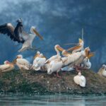 Backwaters of Kerala - Analyzing the Price and Value