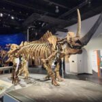 Badlands Tour: Drumheller with Museum, Hoodoos & Coal Mine - The Coal Mine: History Visible in Action