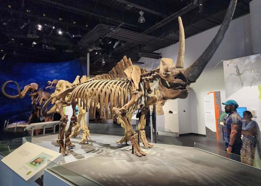 Badlands Tour: Drumheller with Museum, Hoodoos & Coal Mine - The Coal Mine: History Visible in Action