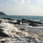 Baga/Calangute: South Goa Full-Day City Sightseeing Tour - The Good, the Bad, and the Authentic