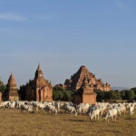 Bagan: Private Full-Day Instagram Highlights Tour - What’s Included & What to Expect