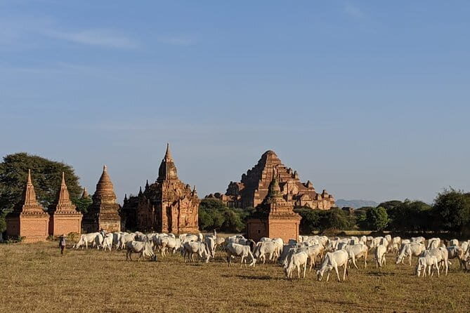 Bagan: Private Full-Day Instagram Highlights Tour - What’s Included & What to Expect
