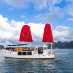 Bai Tu Long Private Day Cruise with Lunch and Best Care - Visiting Tien Ong Cave: Nature and History Intertwined