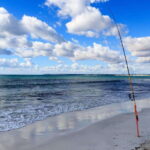 Baja: Adventure Shore Fishing - Explore La Ventana on ATV - Who Will Love It