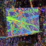 Bakersfield: Splatter Paint Room Experience - The Experience Provider and Practical Details