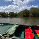 Balapitiya: Madu River Boat Tour - Who Will Love This Tour?