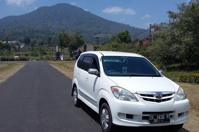 Bali Airport to Hotel-Private Arrival Transfer - Why We Think This Transfer Works Well