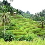 Bali ATV Ride Adventure and Kintamani Mt. Batur Volcano View - Why the Tour Works Well