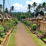 Bali Bike Adventure Tour - The Sum Up: Who Is This Tour Perfect For?