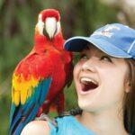 Bali Bird Park Admission Ticket - The Practicalities: What You Need to Know