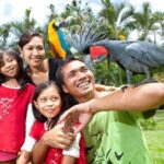 Bali Bird Park Admission Ticket with Hotel Transfer - The Convenience of Hotel Transfers