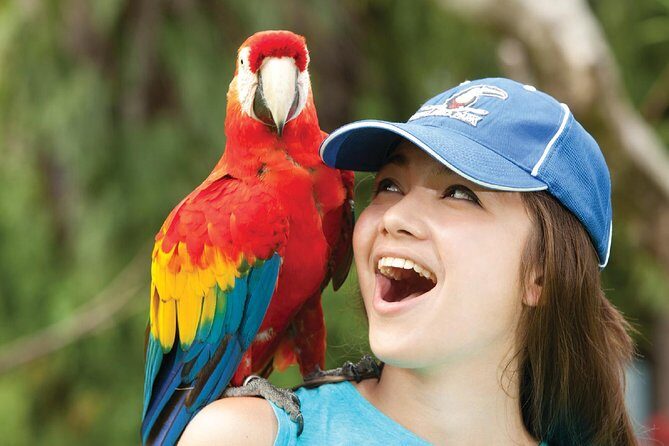 Bali Bird Park Admission Ticket - The Practicalities: What You Need to Know