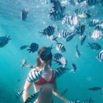 Bali Experience Blue lagoon snorkeling and hidden waterfall - Who Will Love This Tour?