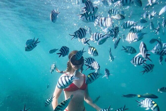 Bali Experience Blue lagoon snorkeling and hidden waterfall - Who Will Love This Tour?