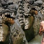Bali Full-Day Hidden Hills, Twin Waterfalls and Hot Spring Tour - What to Expect from the Tour Experience