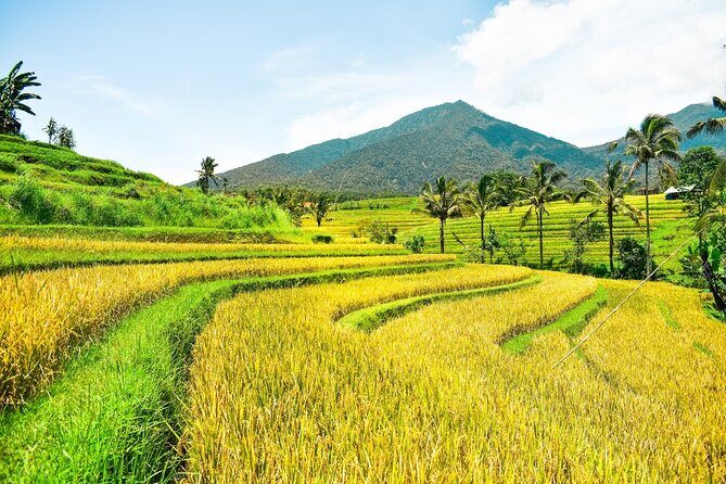 Bali Full-Day Private Customize Tour - Transport, Timing, and Flexibility