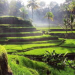 Bali Full-Day Tours : Waterfall and Ubud Destination Trip - A Detailed Breakdown of the Itinerary
