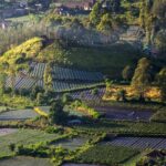 Bali: Guided Mount Batur Sunrise Trekking and Natural Hot Spring Tour - The Trek Up Mount Batur