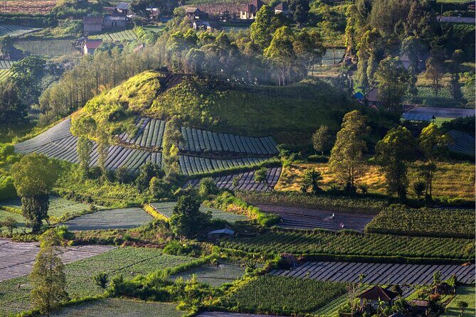 Bali: Guided Mount Batur Sunrise Trekking and Natural Hot Spring Tour - The Trek Up Mount Batur