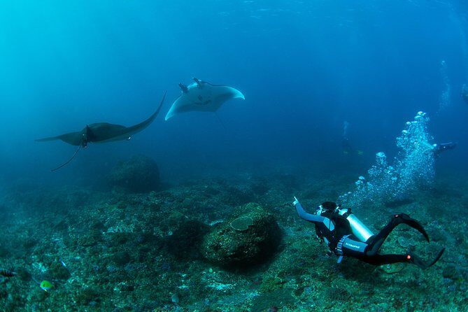 Bali Hai - PADI Advance Open Water Course in Bali - Authentic Feedback From Participants