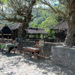 Bali Historical Trip - What’s Included and What’s Not?