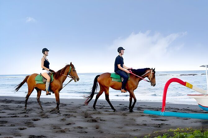 Bali Horse Riding in Saba Bay for 1 Hour with Pick Up Service - Who Will Love This Tour?