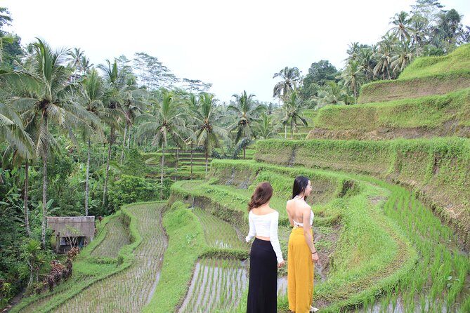 Bali Instagram Most Iconic Spots Private Tour - Detailed Breakdown of the Tour Experience
