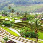 Bali Instagram, Waterfall, & Swing - Final Thoughts: Is It Worth It?