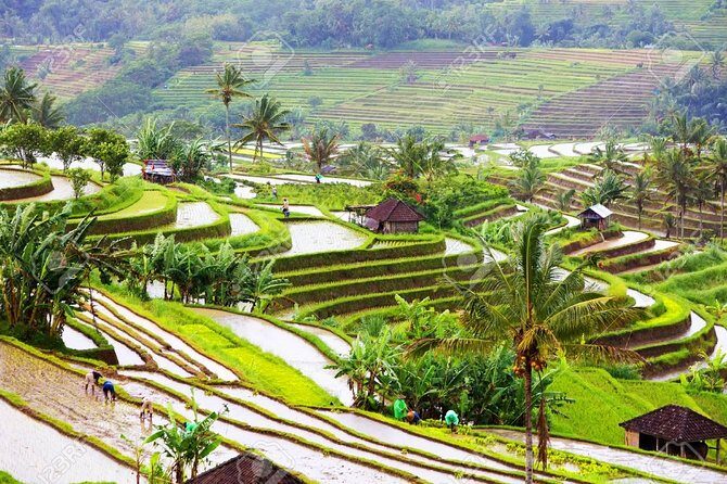 Bali Instagram, Waterfall, & Swing - Final Thoughts: Is It Worth It?