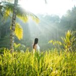 Bali Private Photographer & Drone - What to Expect on Your Photo Journey in Ubud